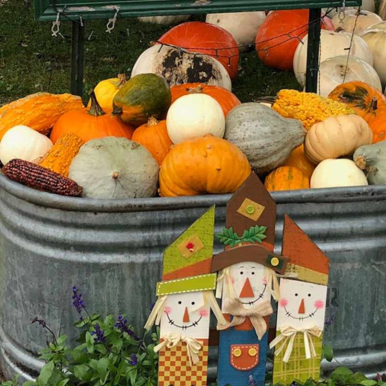 Theis Farm Market: Your Year-Round Source for Fresh Local Produce